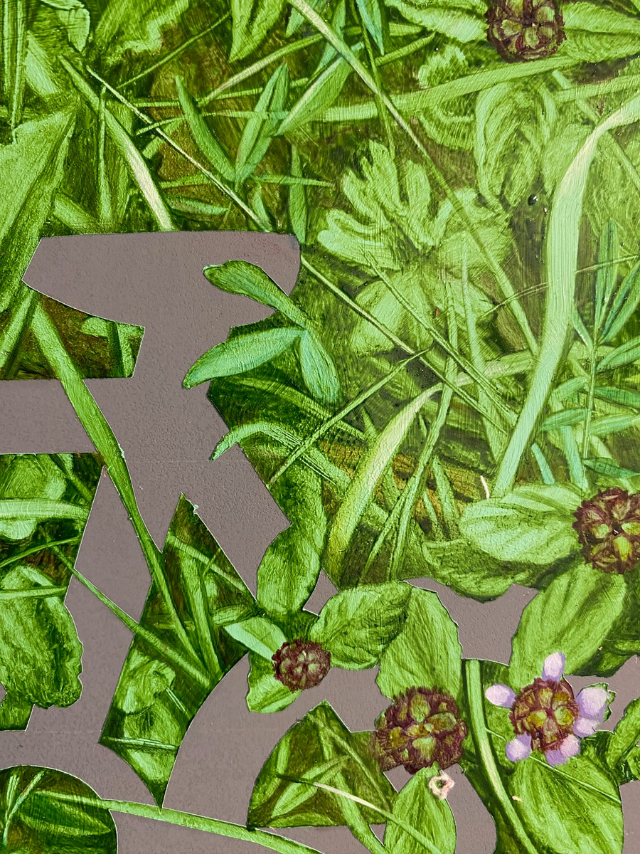 Cycle Lane (Self-Heal and Hedge Parsley) – Taylor-Jones & Son