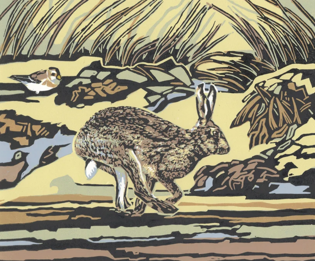 Sand Dune Hare – Taylor-Jones & Son